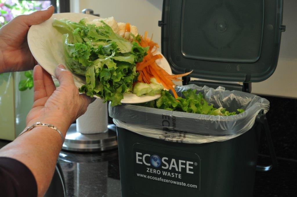 10 Facts About Composting That Your Family Never Knew – EcoSafe Zero Waste